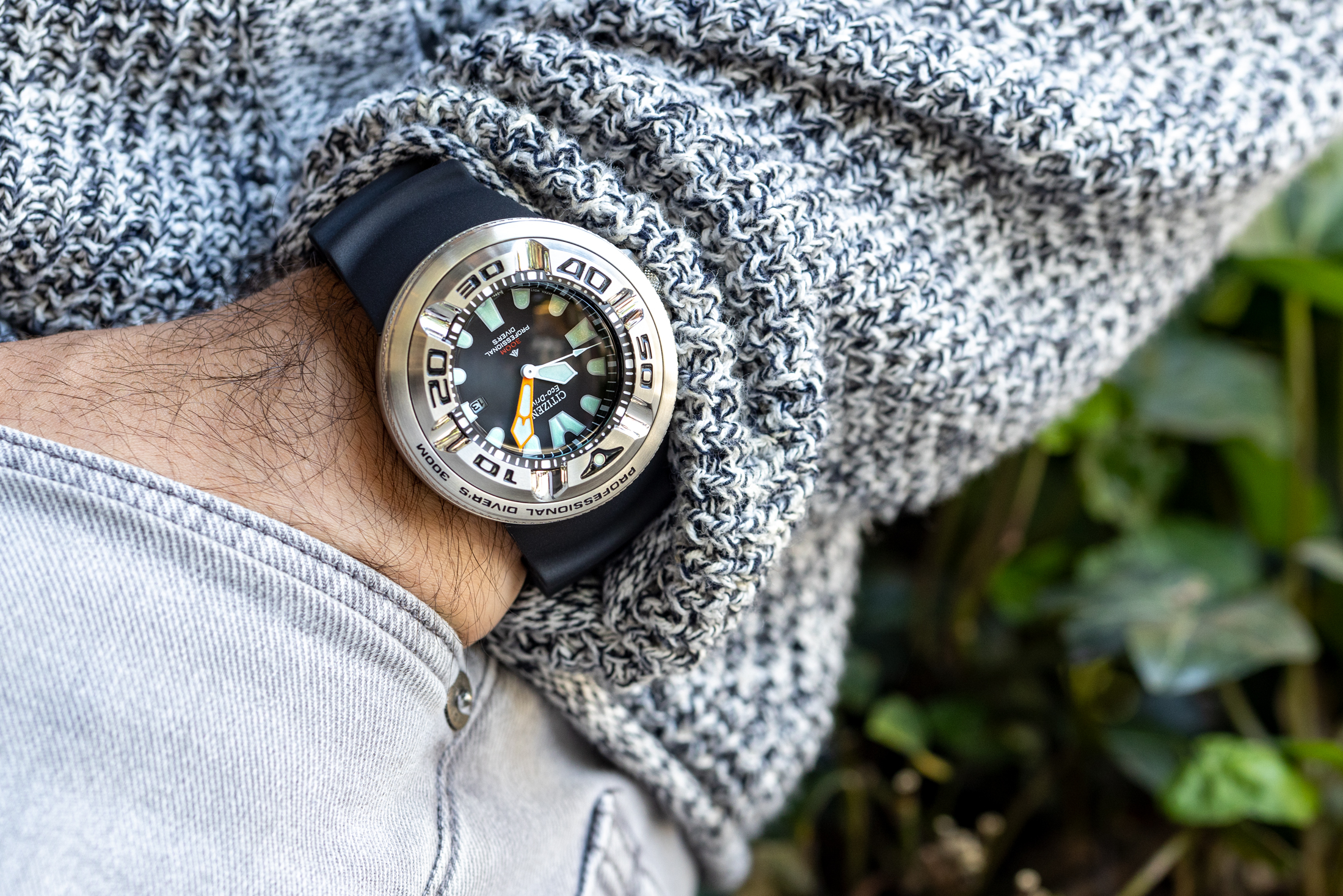 The Value Proposition: Best Of The Beasts: The Citizen Promaster 'Eco ...