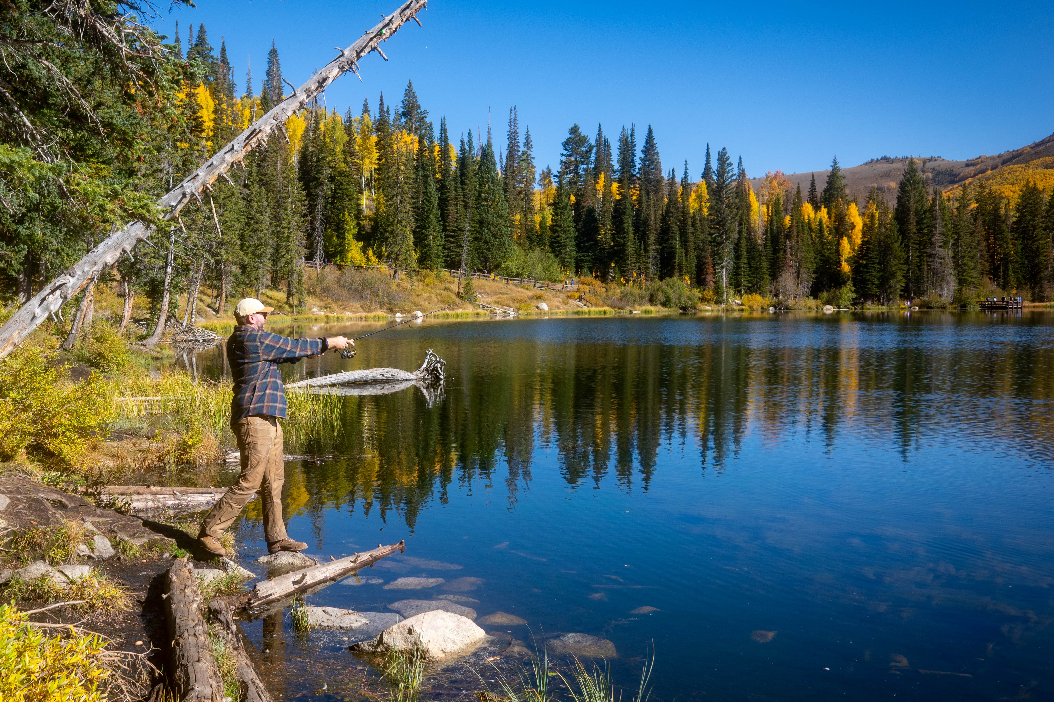 Do Casio Fishing Watches Really Work?