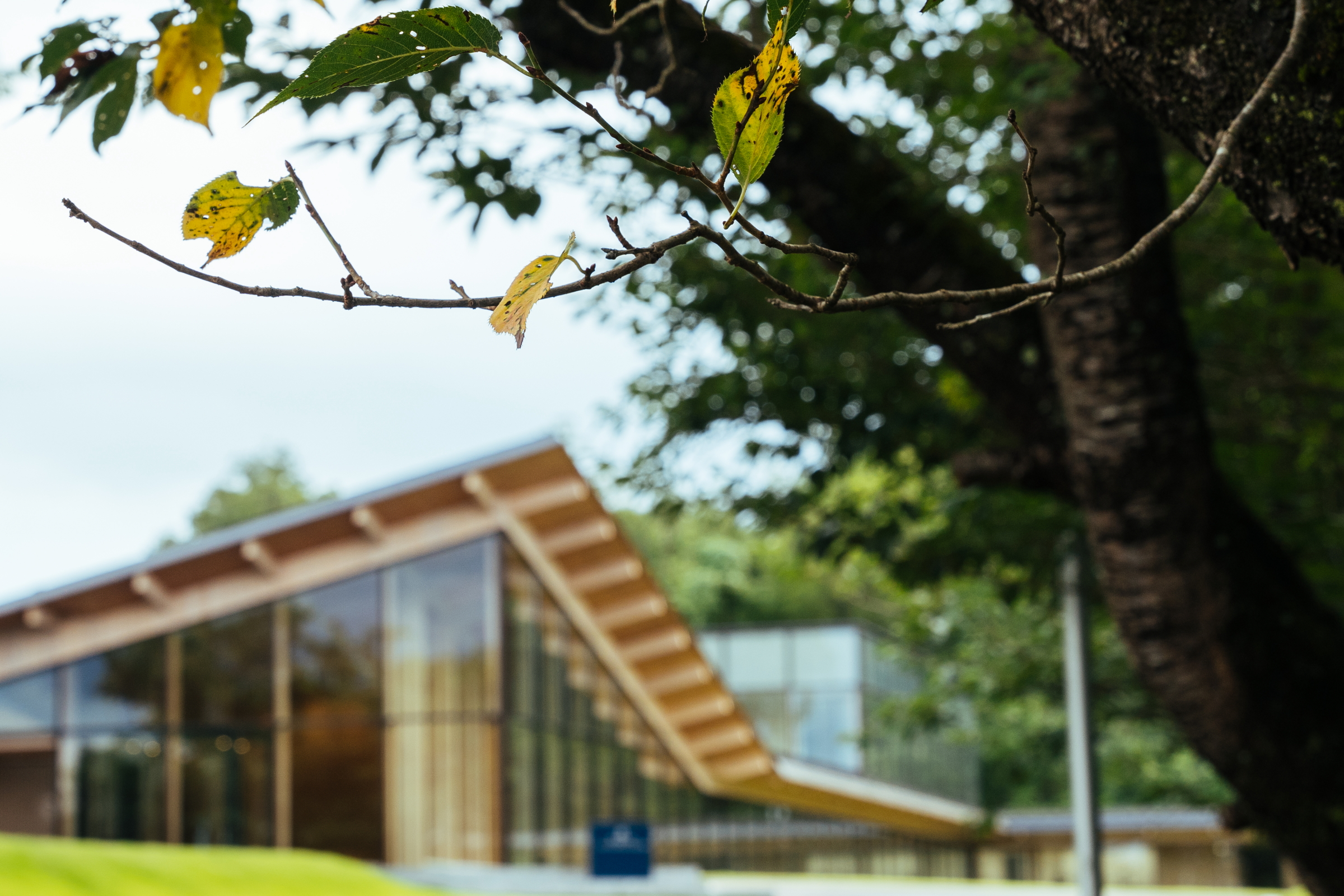 Happenings: Joseph Kirk To Lecture At The Horological Society Of New ...